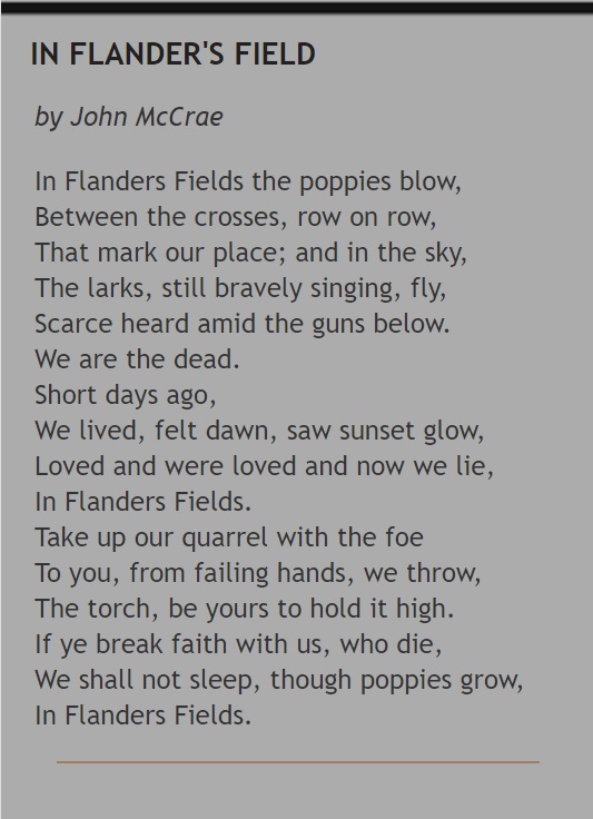 VFW Buddy Poppy Program | VFW Post 6785